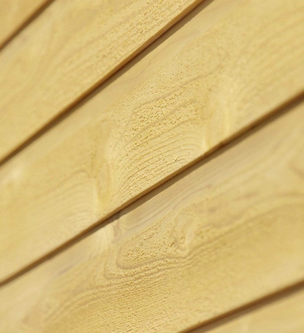 Cèdre JD Sirois – Métis-sur-Mer